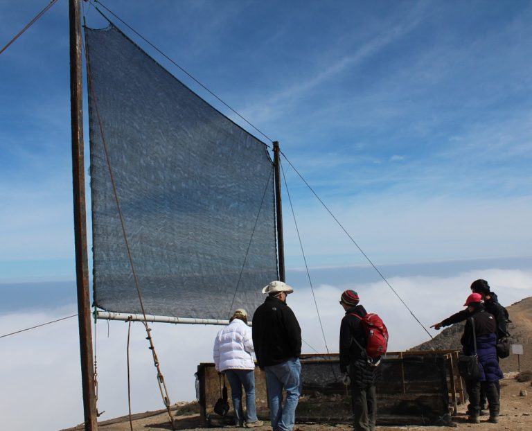 Fog Fences - Practical Sustainability