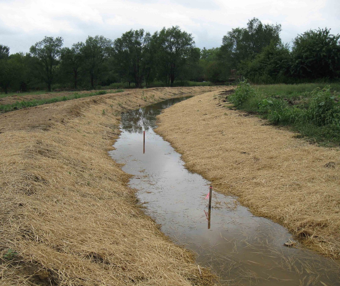 Swales - Practical Sustainability